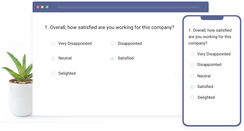 Employee Satisfaction Survey Template